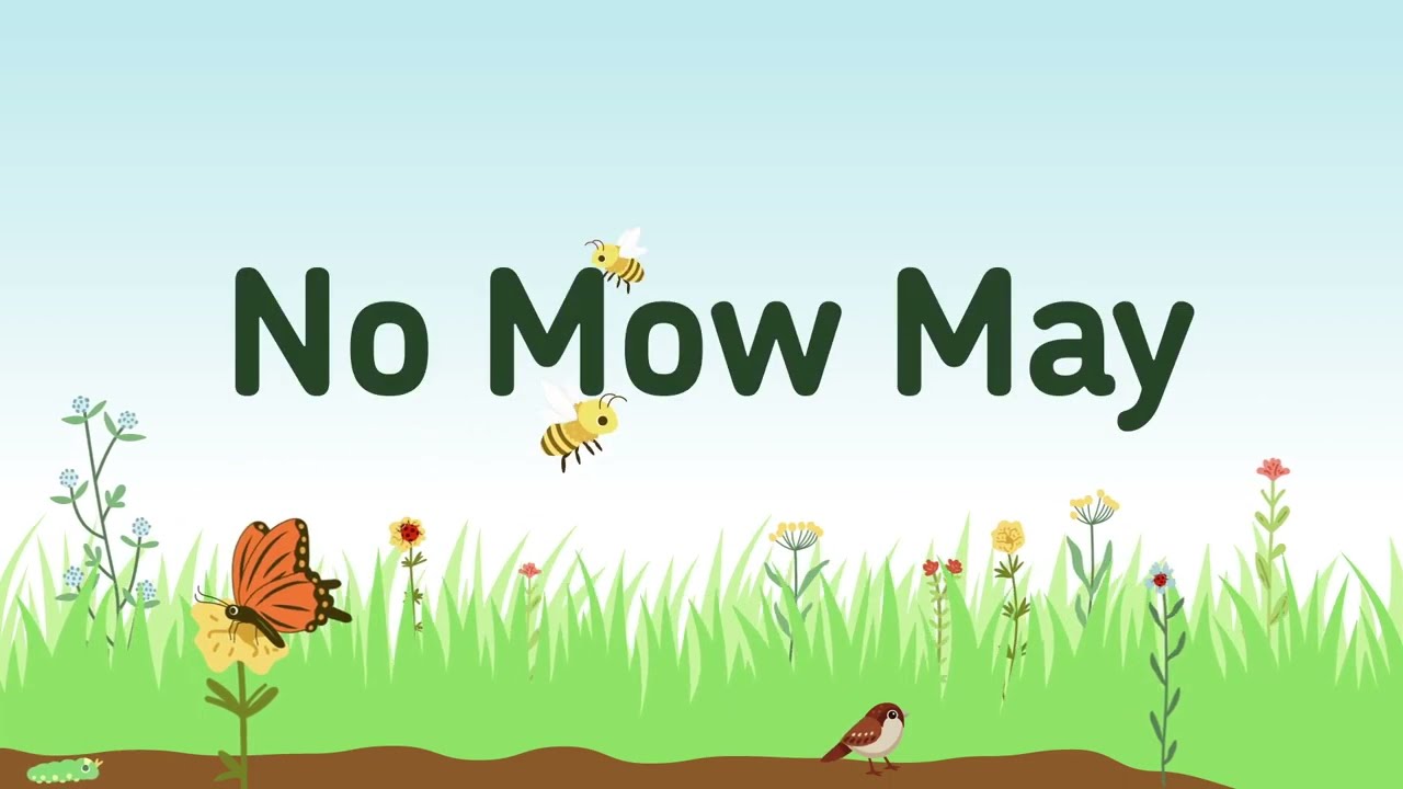 Any point to “No Mow May”? | YGK News - Your Kingston, Your News